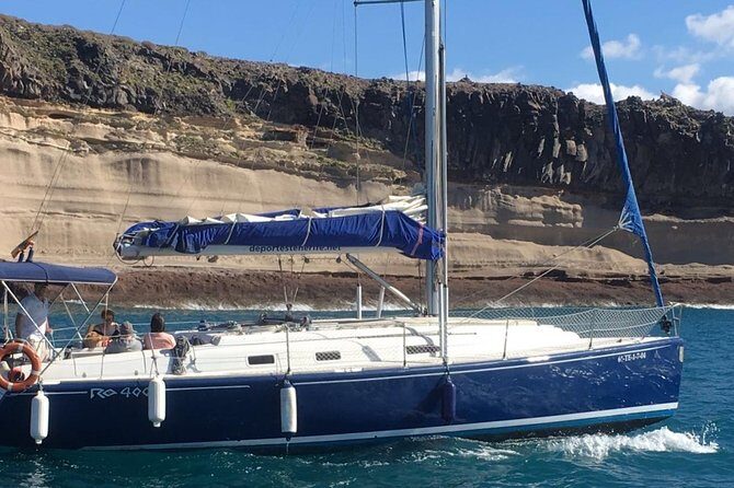 Private Yacht Tour With Whale and Dolphin Watching 42 Foot Boat - Real Experiences: What Travelers Say