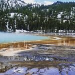 Private Yellowstone Lower Loop Tour - Transport, Timing, and Comfort