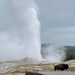 PRIVATE Yellowstone Tour 4 or more people- Picnic, Binoculars, Spotting Scope - Wildlife Viewing: Binoculars and Scope Enhance the Experience
