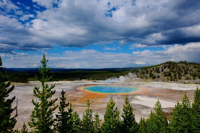 Private Yellowstone Tour: ICONIC Sites, Wildlife, Family Friendly Hikes + lunch - The Value of a Fully Guided, Personalized Experience