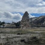 Private Yellowstone Wildlife and Photo Tours Upper Loop Cody Wy - Who Will Love This Experience?