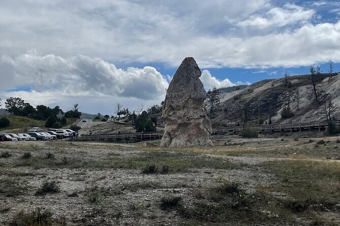 Private Yellowstone Wildlife and Photo Tours Upper Loop Cody Wy - Who Will Love This Experience?