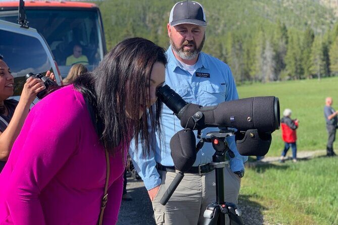 Private Yellowstone Wildlife Sightseeing Tour - An In-Depth Look at the Yellowstone Wildlife Experience