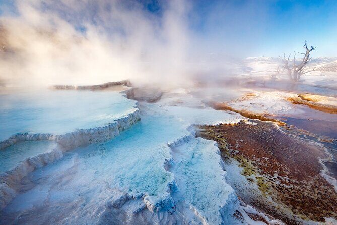 Private Yellowstone Winter Wolf Watching and Wildlife Safari - What Makes This Tour Stand Out?