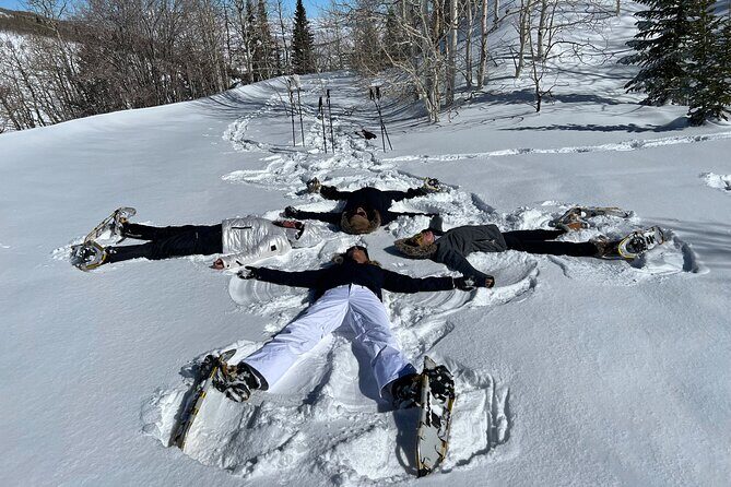 Privately Guided Snowshoe Experience - The Sum Up