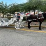 Public Group Historical Carriage Tour of Galveston - Who Will Love This Tour?
