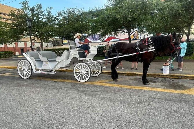 Public Group Historical Carriage Tour of Galveston - Who Will Love This Tour?