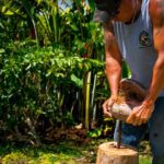 Pueo Farm Tour (1.5 hr) Upcountry Kula Maui Hawaii - The Overall Value & Who It’s For