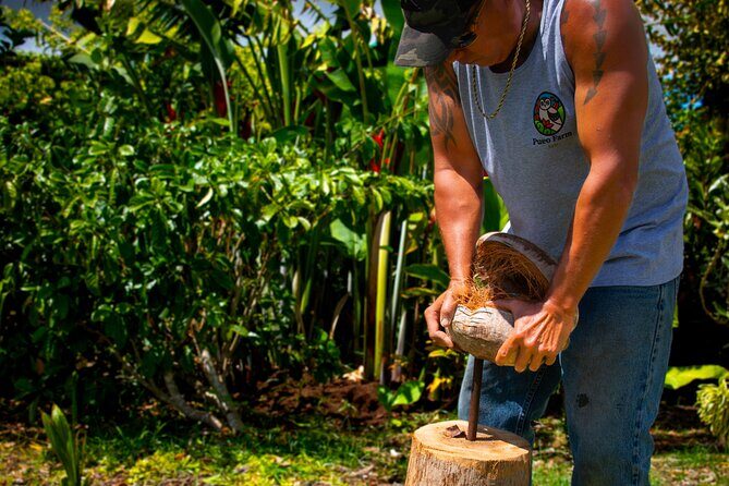 Pueo Farm Tour (1.5 hr) Upcountry Kula Maui Hawaii - The Overall Value & Who It’s For