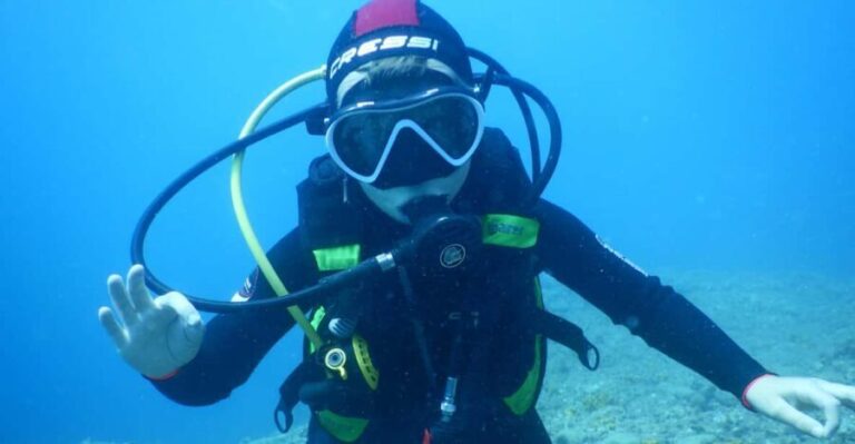 Pula: Introduction to Scuba Diving for Kids (age 8-10) - The Experience Provider: Orca Pula