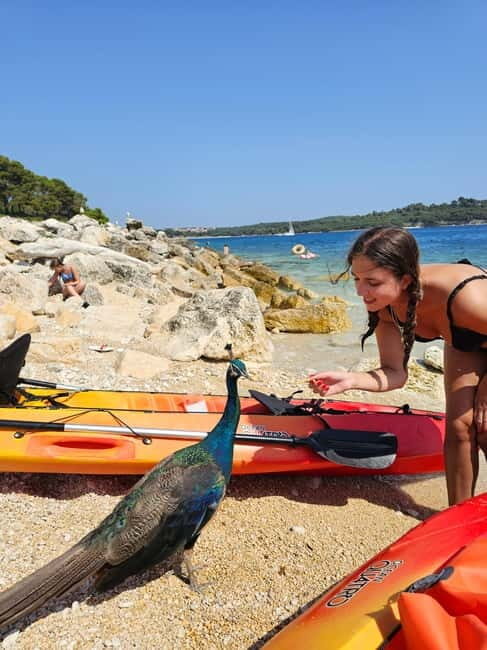 Pula: Kayak Tour to Island St. Jerolim and Kozada - Snorkeling and Marine Wonder