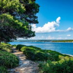 Pula: National Park Brijuni Cruise with Lunch and Drinks - The Culinary Experience on Board