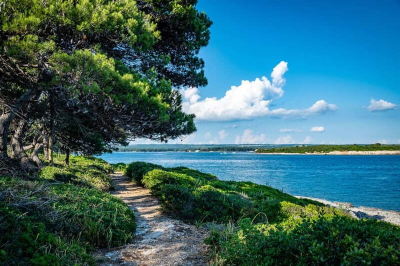 Pula: National Park Brijuni Cruise with Lunch and Drinks - The Culinary Experience on Board