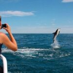 Pula: National Park Brijuni Island Visit & Dolphin Cruise - The Value — Why It’s Worth It