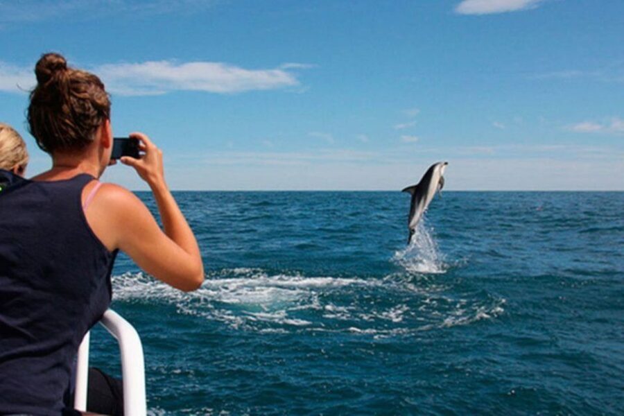 Pula: National Park Brijuni Island Visit & Dolphin Cruise - The Value — Why It’s Worth It