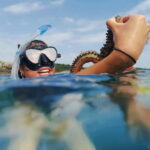 Pula: Sea Adventure  Boat, Kayak, Snorkeling & Cliff Jumps - Detailed Breakdown of the Itinerary
