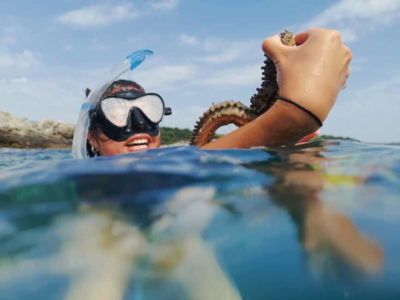 Pula: Sea Adventure  Boat, Kayak, Snorkeling & Cliff Jumps - Detailed Breakdown of the Itinerary