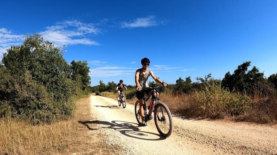 Pula-Vodnjan-Rovinj: E-Bike Tour with wine tasting - What’s Included and Practical Tips