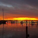 Pungo River Sunset Cruise - Who Is This Tour Best For?
