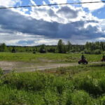 Quad Bike Safari on Tundra - What Travelers Are Saying