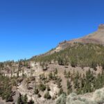 Quad Tour to the Teide National Park (3.5H) - Authentic Feedback from Participants