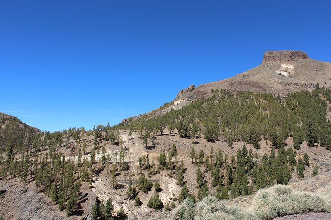 Quad Tour to the Teide National Park (3.5H) - Authentic Feedback from Participants