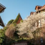 Quedlinburg: Guided City Highlights Walking Tour - Landmark and Gallery Highlights