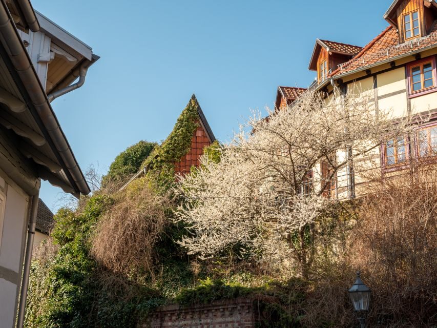 Quedlinburg: Guided City Highlights Walking Tour - Landmark and Gallery Highlights