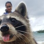 Raccoon Island Exploration on SUP/Kayak - Frequently Asked Questions
