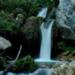 RAFTING Experience the adrenaline rush! - The Heart of the Experience: Rafting on the Tara River