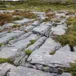 Rail Tour: The Cliffs of Moher & Bunratty Castle Tour - Key Points