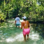 Rainbow Springs: Clear Kayak & Snorkel Eco Tour - The Itinerary in Detail