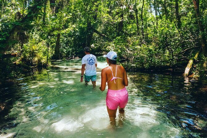 Rainbow Springs: Clear Kayak & Snorkel Eco Tour - The Itinerary in Detail