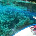 Rainbow Springs Electric Paddle Tour - Key Points