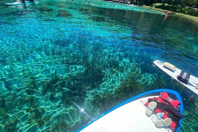 Rainbow Springs Electric Paddle Tour - Key Points