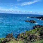 Rainforest Tour to Hana and Beyond - Authenticity & Traveler Reactions