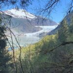 Rainforest & Waterfalls Trek - Considerations and Potential Drawbacks