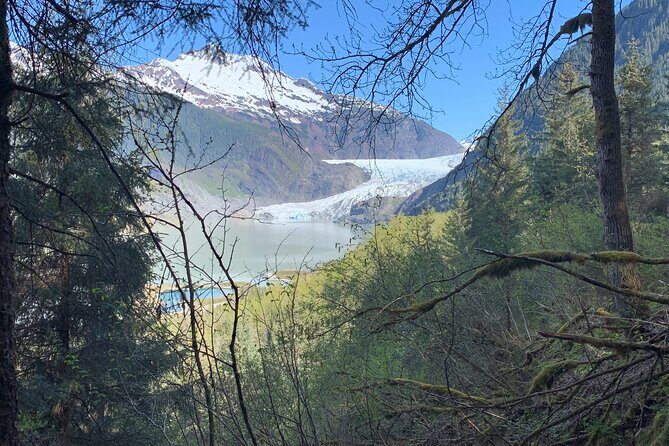 Rainforest & Waterfalls Trek - Considerations and Potential Drawbacks