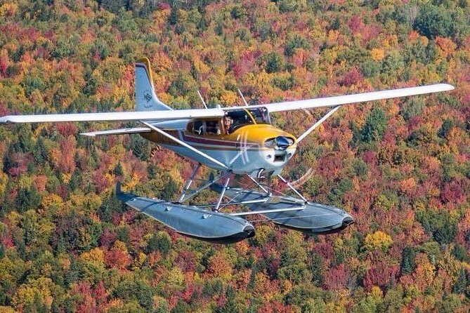 Rangeley Lakes Region Seaplane Tour - The Sum Up: Who Should Consider This Seaplane Tour?