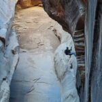 Rappelling through Rock Canyon Near Zion National Park - The Rappelling Experience: What to Expect