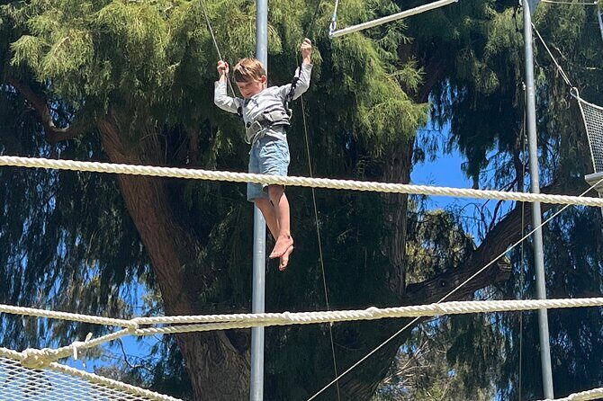 Recreational Flying Trapeze Classes - Analyzing the Value