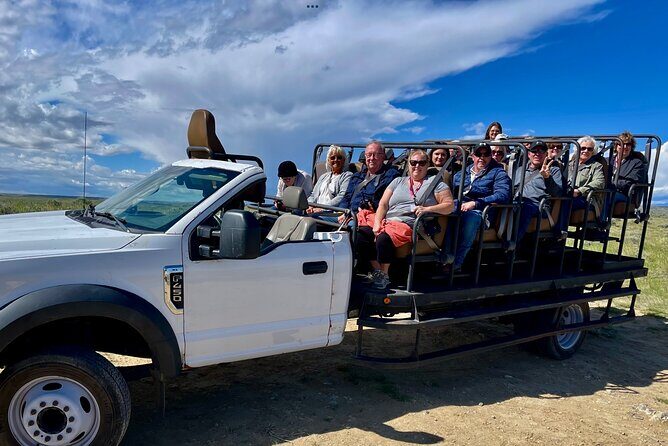 Red Canyon Wild Mustang Safari Truck Tours In Cody Wyoming! - Who Would Enjoy This Tour?