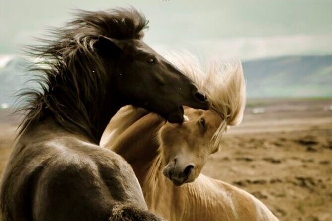 Red Canyons Best Of The Wild West Wild Mustang+Rafting Adventure - What to Expect from This Adventure