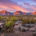 Red Rock Canyon Scooter Tour from Las Vegas - Navigating Practical Details