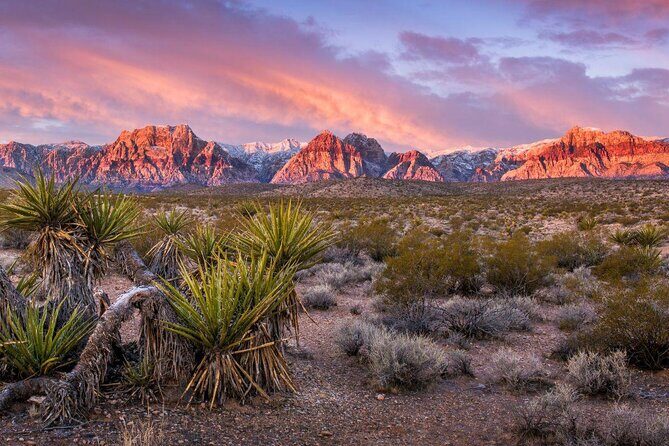 Red Rock Canyon Scooter Tour from Las Vegas - Navigating Practical Details