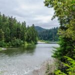 Redwood National and State Parks Self-Guided Audio Driving Tour - The Practical Side: How It Works and What to Expect