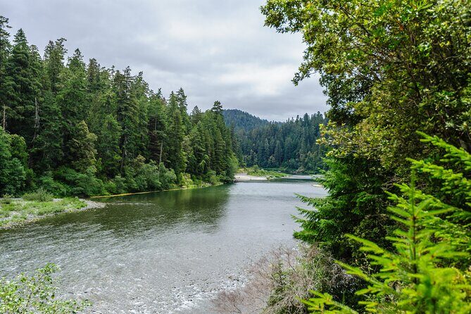 Redwood National and State Parks Self-Guided Audio Driving Tour - The Practical Side: How It Works and What to Expect