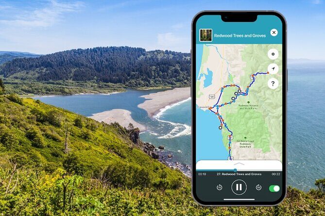 Redwood National Park Self-Guided Audio Tour - The Itinerary: What Youll See and Experience