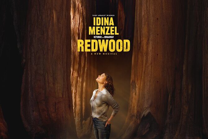 Redwood Starring Idina Menzel on Broadway Ticket - You’ll Love the Views and the Broadway Atmosphere