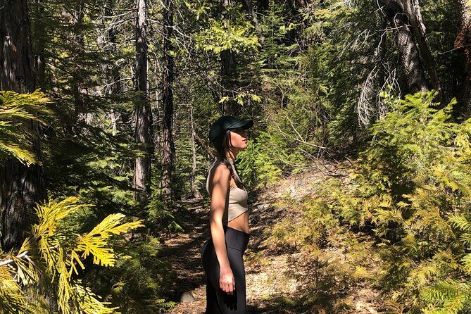 Redwoods Forest Bathing - An In-Depth Look at the Redwoods Forest Bathing Tour